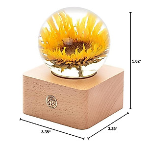 MISS LI GARDEN Night Light Dimmable Warm Light, Touch Sensitive Lamp for Home Bedrooms Dining Room Kitchen Living Room Bedside Farmhouse Country Style House Decoration(1.Sunflower)