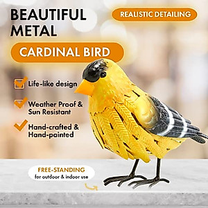 American Goldfinch Metal Garden Bird, Yard Sculpture Art- Large Realistic Standing Gold Finch Bird - Outdoor Fall, Winter, Spring, Summer Decoration- Decor - Perfect and Sympathy Gifts