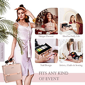 FRENESSA Makeup Train Case 10 Inch Travel Beauty Cosmetic Box Professional 4-trays Jewelry Storage Organizer with Lockable Portable for Women and Girls - Rose Gold