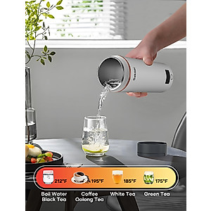 Sekaer Travel Portable Electric Kettle, Small Tea Kettle Coffee Mini Hot Water Boiler, 400mL & 304 Stainless Steel, with 4 Variable Presets and Auto Shut-Off SKE-840W