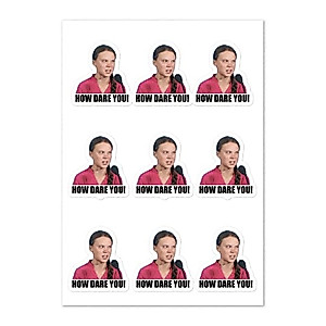 How Dare You - Sticker Sheet - for Your Gas Tank/Gas can/Lawn Mower/Die-Cut Stickers Decals/Truck/Car/Car/Van/Graphic/Snow Blower/Snow Mobile