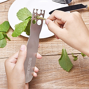 Stainless Steel Leaf Herb Stripper Tool, Loose Leaf Kale, Chard, Collard Greens Kale Razor and Kitchen Leaf Remover