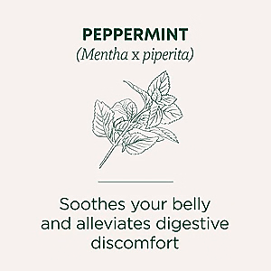 Traditional Medicinals Organic Peppermint Herbal Leaf Tea, Alleviates Digestive Discomfort, 16 Tea Bags (Pack of 6)