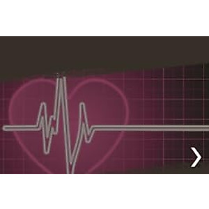 IRON COMPANY Body-Solid Endurance E5000 Premium Elliptical Trainer