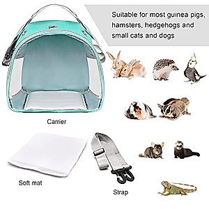 Small Animal Carrier Bag, Upgraded Portable Guinea Pig Carriers, Transparent Hamster Carrying Case, Reptile Rat Rabbit Bearded Dragon Hedgehog Carrier Bag for Travel, Hiking, Walking, Outdoor (Green)
