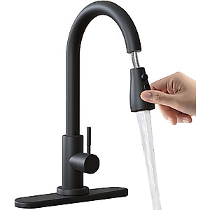 Kitchen Faucets with Pull Down Sprayer-Kitchen Sink faucets-Single Level Stainless Steel-Matte Black