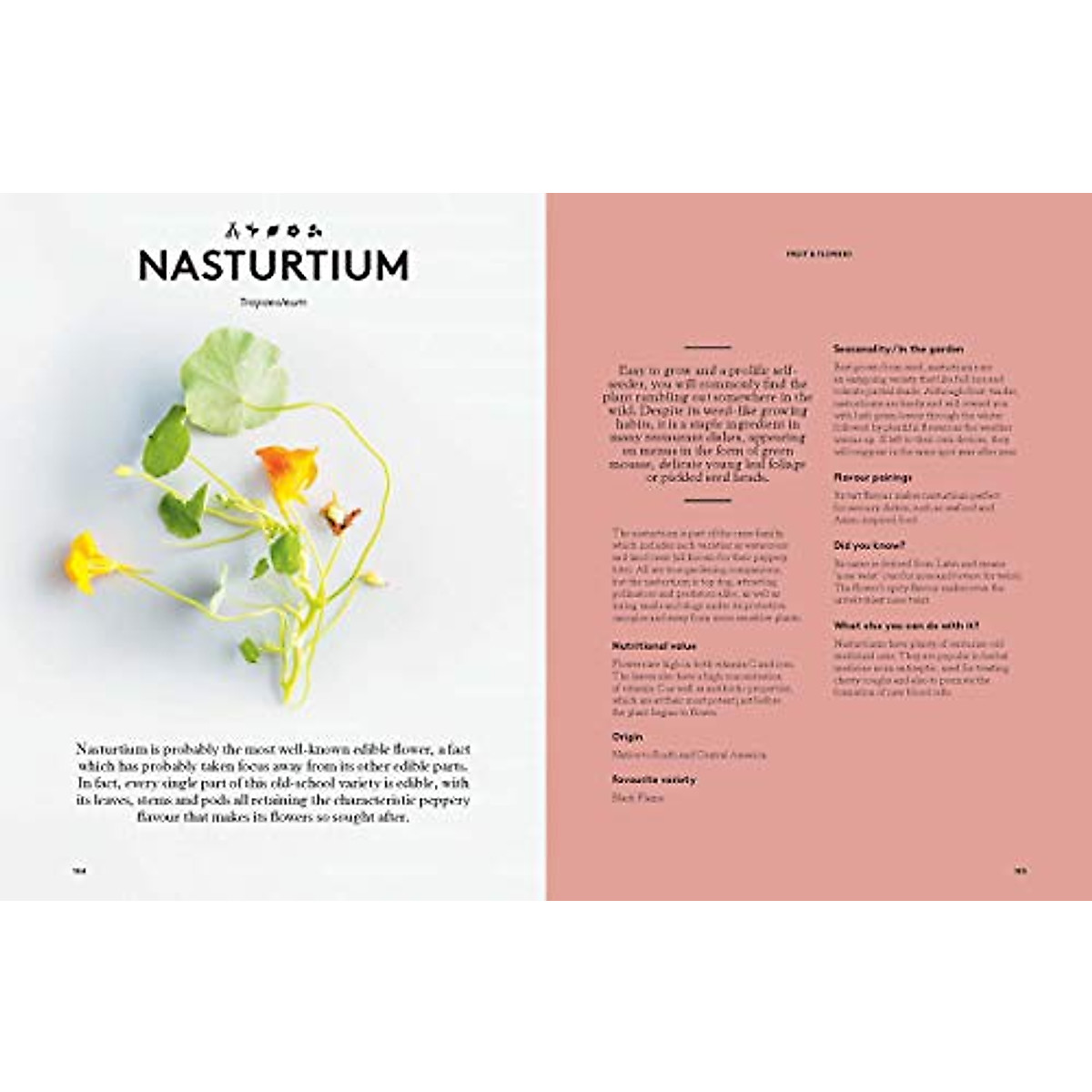 Root to Bloom: A Modern Guide to Whole Plant Use