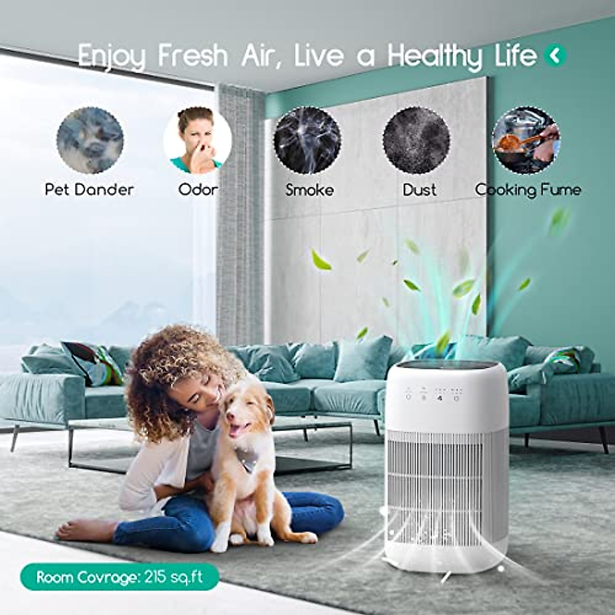 Air Purifier and Dehumidifier in 1, Afloia Q10 True HEPA Air Purifier with H13 HEPA Filter, Small Dehumidifier Combined with Air Cleaner, Remove Pet Odors Dust Smoke for Home, Bedroom, Bathroom