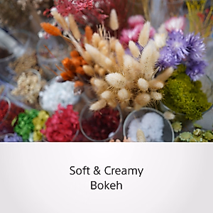 Sony SEL24F28G - Full-Frame Lens FE 24mm F2.8 G - Premium G Series Prime Lens Black