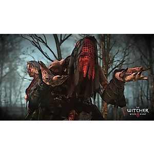 The Witcher 3 Game of the Year Edition (PS4)