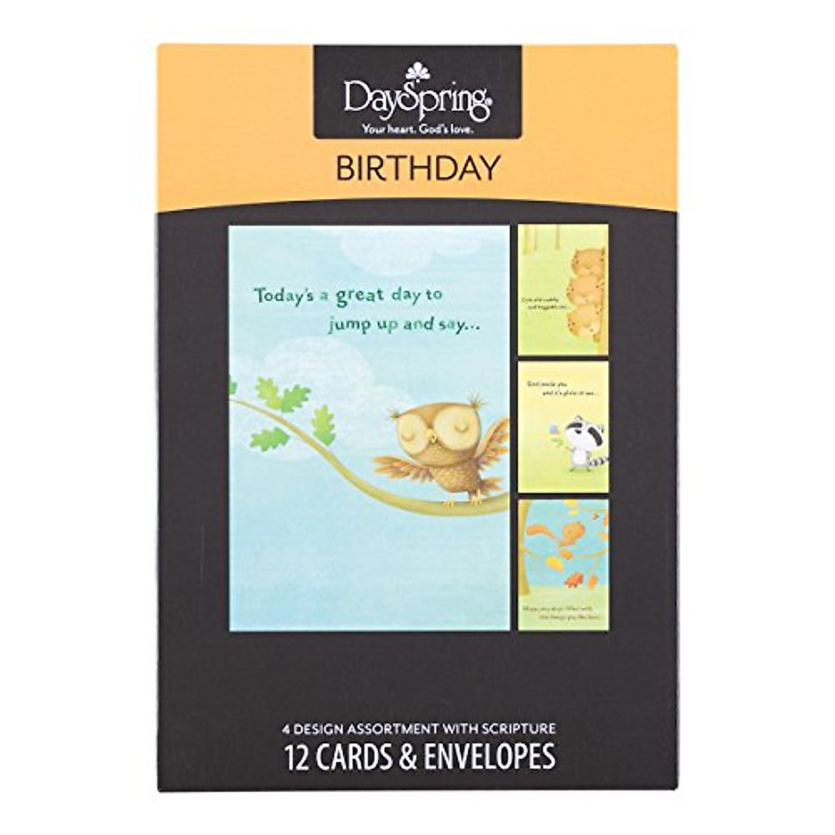 DaySpring Birthday - Inspirational Boxed Cards - Happy Critters - 36622