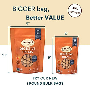 Benefit Biscuits, All Natural Dog Treats, Certified Vegan, Non GMO, Wheat Free, Healthy Dog Biscuits, Made in USA (Pumpkin, Large Bag (1lb))