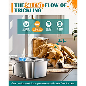 Stainless Steel Large Dog Water Fountain for Large Dogs,3Gallon Extra Large Capacity Big Pet Water Fountain with 4 Filters,Automatic Dog Fountain Water Bowl Dispenser Indoor,Quiet Pump,Dishwasher Safe