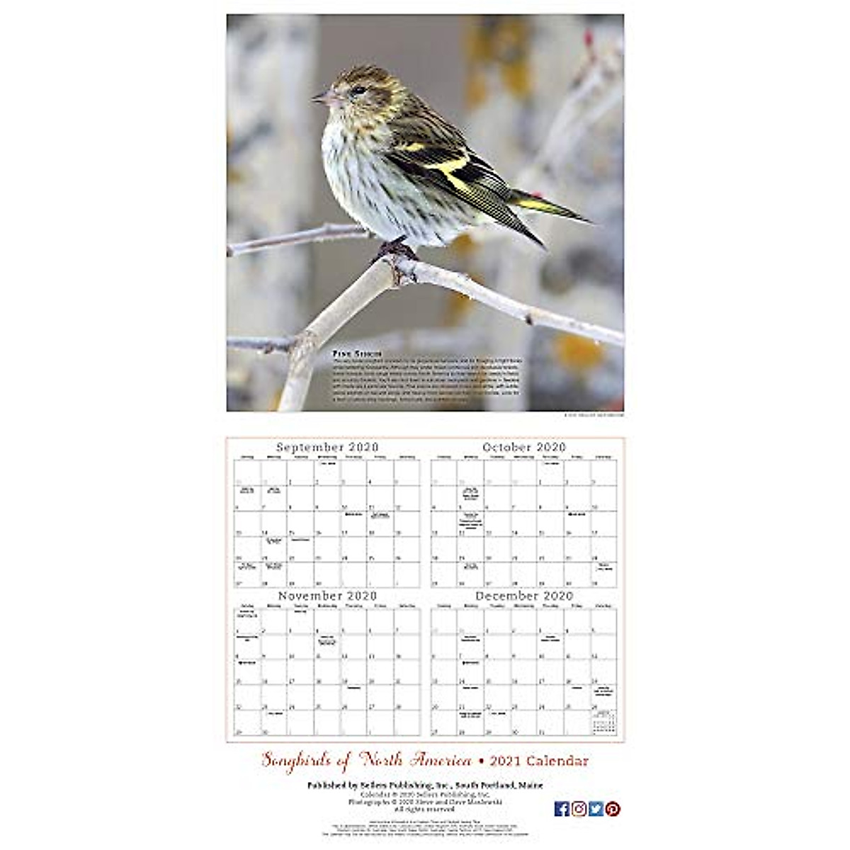 2021 Songbirds of North America 16-Month Wall Calendar