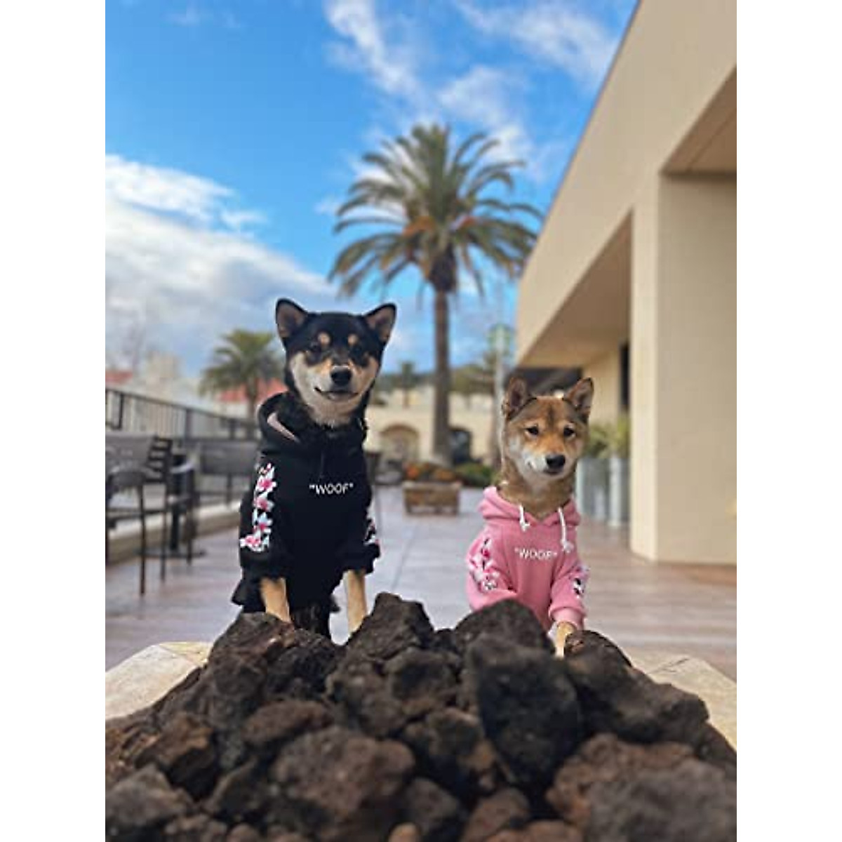 ChoChoCho Woof Dog Hoodie, Designer Dog Hoodies for Small Medium Large Breeds, Art Collection Dog Sweatshirts, Street Drawstring Hoodies Outfit Clothes for Puppy Puppies (M, Sakura/Black)