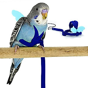 Budgerigar Harness and Leash, Adjustable Parrot Bird Training Design Anti-Bite, Bird Nylon Rope with Cute Wing for Budgerigar and Same Size Birds (S, Blue)
