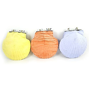 PATKAW Bird Perch Bird Beak Stone Mineral Lava Blocks Trimming Chew Toys Pumice Stones Parrot Perch Stand for Conures Cockatiels Parrots Random Color