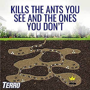 TERRO T200-3SR Liquid Ant Killer – 3 Pack