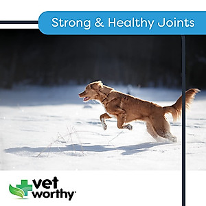 Vet Worthy Joint Support Level 2 | Eases Joint Stiffness Due to Normal Daily Exercise and Activity | Dog Supplement with Glucosamine, Chondroitin, Vitamin C, MSM | Liver Flavor Soft Chews 30 Count