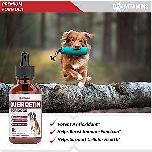 Quercetin for Dogs | Dog Allergy Relief | Quercetin for Dogs Allergies | Dog Allergy | Quercetin | Dog Allergy Support | Quercetin Dog | Dog Allergies | Quercetin Supplements | Bacon Flavor (2 Pack)