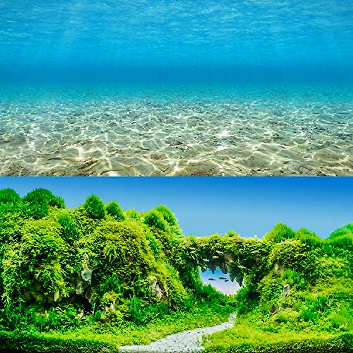 JUBMACH Premium Aquarium Background Poster | Underwater World Fish Tank Background Aquarium Background Decoration Terrarium Background Durable PVC Double Sides Undersea Backdrop Picture (24 x 71)