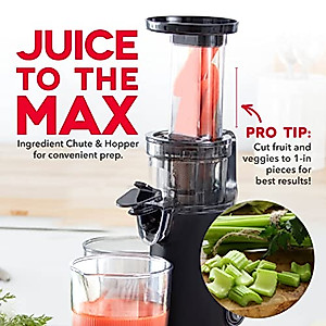 DASH Deluxe Compact Masticating Slow Juicer, Easy to Clean Cold Press Juicer with Brush, Pulp Measuring Cup, Frozen Attachment and Juice Recipe Guide - Black