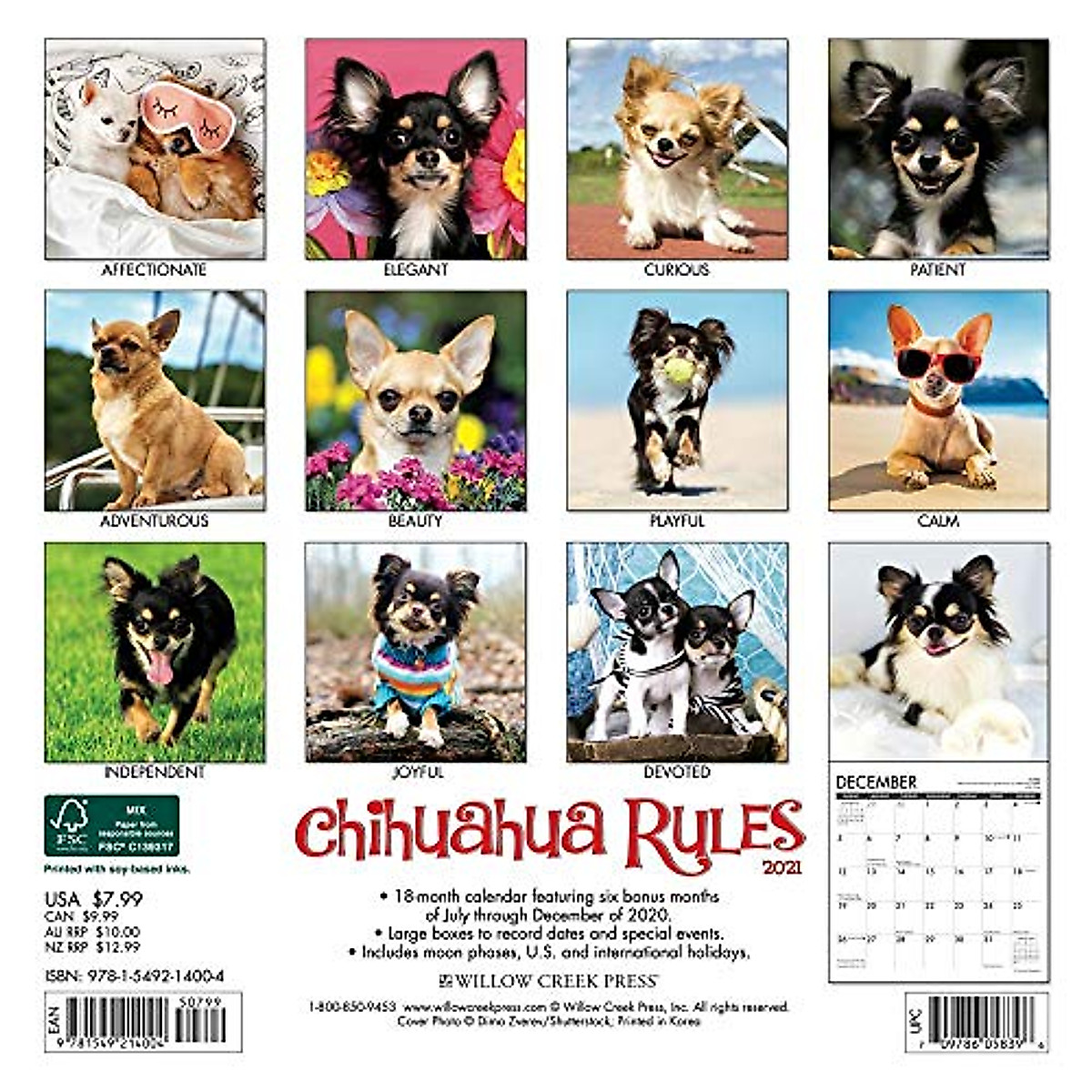 Chihuahua Rules 2021 Mini Wall Calendar (Dog Breed Calendar)