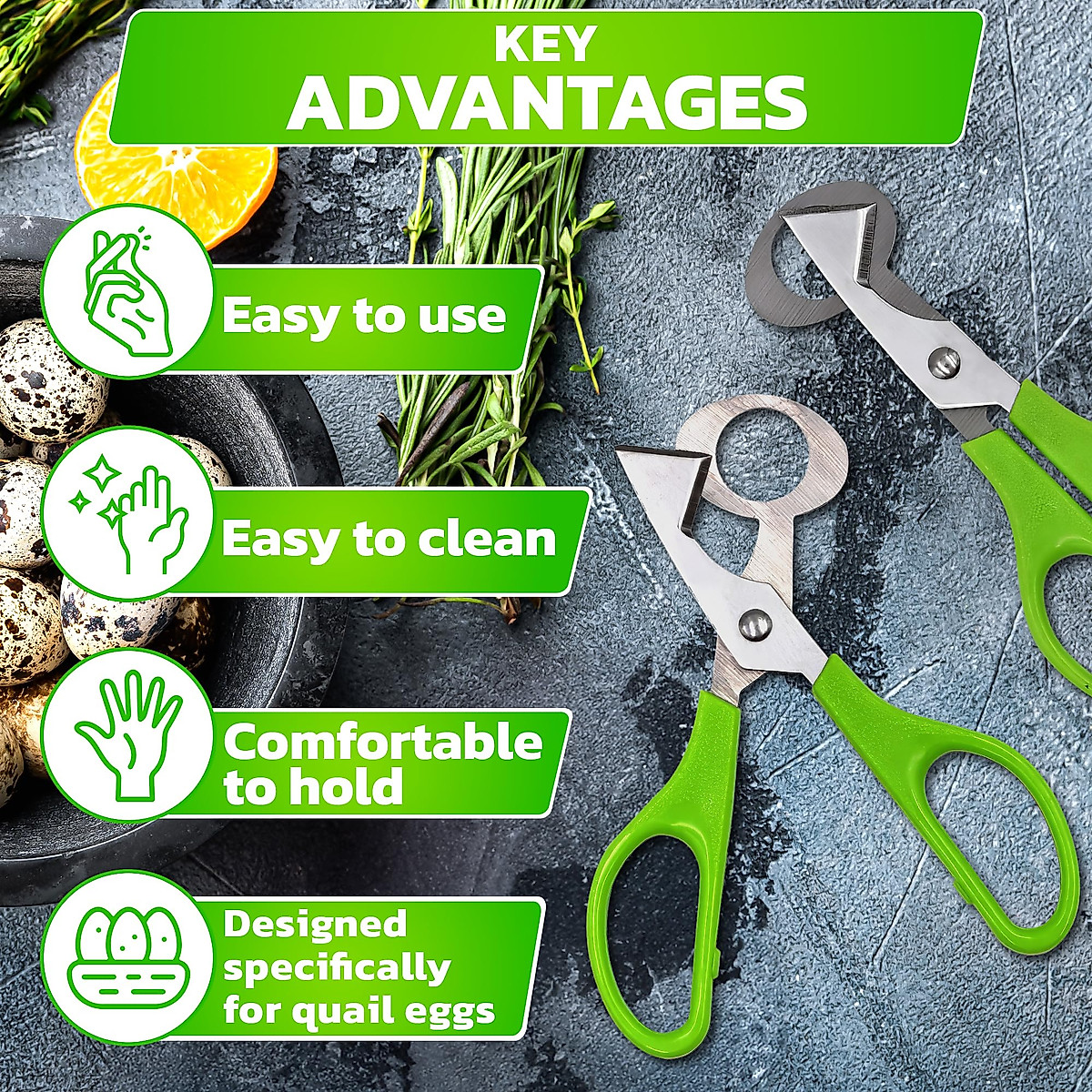 2 Pcs Quail Egg Scissors - Heavy-Duty Quail Egg Cutter Tool with Stainless Steel Sharp Blades & Ergonomic Grip - Compact Size (5.5" x 2.56") with 0.79" Diameter for Quick & Precise Cutting