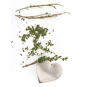 RSVP International Endurance Kitchen Collection Herb Stripper, 3" x 0.25" x 2.75", Stainless Steel