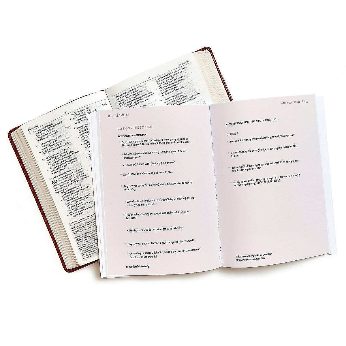 Seamless: Understanding the Bible as One Complete Story (Member Book)