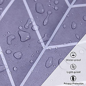 hipaopao African Woman and Lion Grey Shower Curtain Set with Non-Slip Rugs and Toilet Lid Cover Wildlife Safari Theme Fabric Shower Curtain Bathroom Decor with Hooks Waterproof Washable 72" x 72''