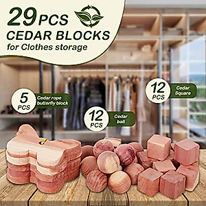 Safe Cedarwood Balls Closet Deodorizer for Clothes Protection Cedar Wood Blocks Clothes Freshener Natrual Cedar Wood Discs & Cedar Rings for Drawers Wardrobe 29pcs(29pcs)