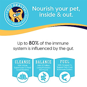 Solid Gold Canned Dog Food for Adult & Senior Dogs - Made with Real Chicken and Whole Grains - Star Chaser High Calorie Wet Dog Food for Healthy Digestion and Immune Support…