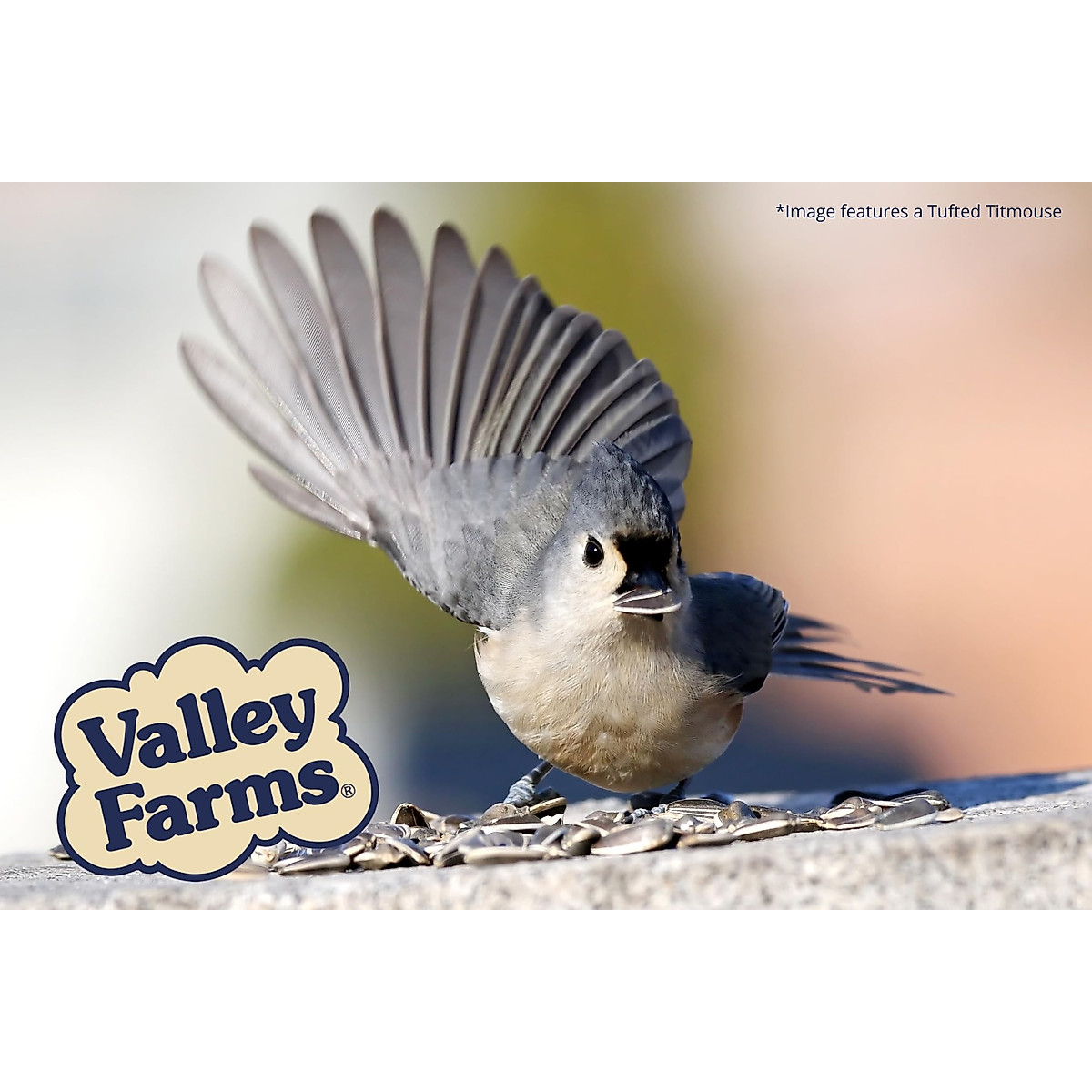 Valley Farms Striped Sunflower Wild Bird Seed for Outside Feeders, Striped Sunflower Seeds for Birds, Sunflower Wild Bird Food (25 LBS)