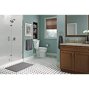 Delta Faucet Lahara 17 Series Dual-Function Shower Trim Kit with 5-Spray Touch-Clean Shower Head, Stainless T17238-SS (Valve Not Included)