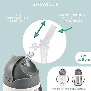 BEABA Straw Sippy Cup, Toddler Baby Straw Cup with Removable Handles, Leak and Spill Proof, BPA Phthalate Free, 8+ months, 10 oz, (Rain)