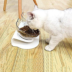 Cat Elevated Bowl with Raised Stand, 15 Degree Tilted Design Neck Guard Stand Raised Pet Food Water Feeder Bowl for Cats or Small Dogs