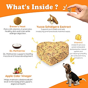 Munchy Chomps Lawn Guard Munch for Dogs - Supports Urinary Tract & Gut Health - Prevents Yellow Spots on Grass - with DL-Methionine, Fiber & Probiotics (Cranberry)