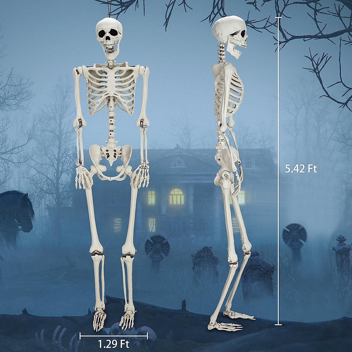 5.4ft Life Size Skeleton Halloween Decor, Full Body Realistic Human Bones with Posable Joints, Great Outdoor Indoor Halloween Decoration for Haunted House Garden Lawn