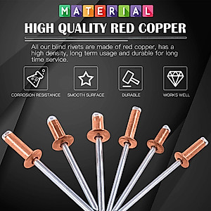 Glarks 120Pcs 6 Size Red Copper Blind Rivets Pop Rivets Assortment Set for Sheet Metal, Automotive, Railway, and Furnitures