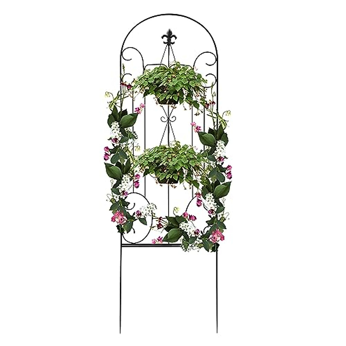 2 Pack Garden Trellis, for Climbing Plants 60" x 18" Black Steel Potted Support Vines Metal Wire Plant Trellis for Climbing Vegetables Flower Patio Roses Cucumbers