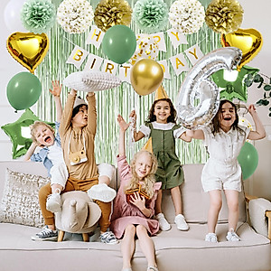 Rabbmall Sage Green Birthday Decorations for Women Girls Gold and Green Party Decor Set with Happy Birthday Banner and Balloons, Sash and Crown, Curtains, Balloon Decorations Kit