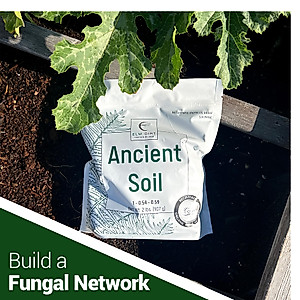 Elm Dirt Premium Ancient Soil for All Plants - Organic Plant Soil for Outdoor Plants & Indoor Plant Soil | Garden Soil for Plant Nutrients Growth & Protect your Plants Bugs - Roots Organic Soil (2lbs)