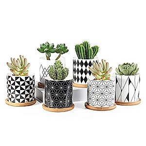 ZOUTOG Succulent Pots, 3 inch Ceramic Mini Succulent Planter Pot, Geometric Pattern Round Small Flower Pots with Drainage and Bamboo Tray, Pack of 6 - Plants Not Included