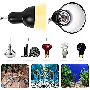 Dehydrator Reptile Heat Lamp Holder Basking Spot Lamp Holder for Turtle Aquarium Aquatic Reptile Lizard 360° Rotating Clip & Power Supply (Without Bulb)