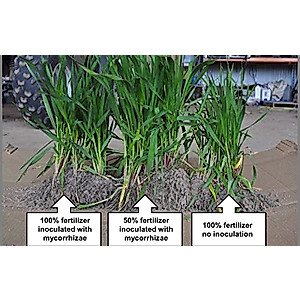 Wildroot Organic Mycorrhizae 16 Species Mycorrhizal Inoculant Drought Proof’s Plants &Trees, Saves Water & Precious Fertilizer, Root Stimulator Explodes Root Growth (1oz - 211 Plants)