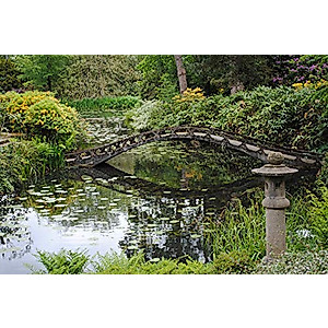 dashengdianzi Pond Liner, 6' x 10' Preformed Pond Liner Pond Skins for Fish Ponds, Waterfall, Streams Fountains and Water Gardens