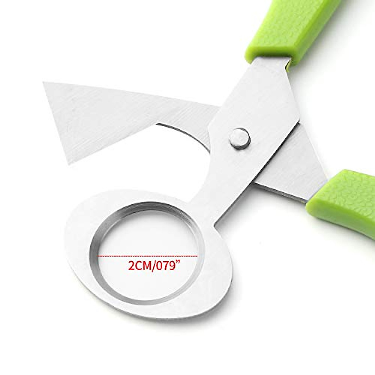 Calary 3Pcs Quail Egg Cutter Scissors Kitchen Egg Shears Tool (Green)