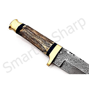 Smart & Sharp Custom Handmade Damascus Steel Hunting Knife/Tanto Knife/Skinning Knife AA-17255, 17256, 17257, 17258 and 17259 (Antique Stag and Blue Wood)