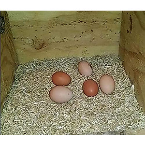 Old Dominion Hemp Small Animal Hemp Bedding, Low Du, Expands to 30 quarts, Reduces Odors, Chicken Bedding, Rabbit Bedding, Reptile Bedding, Hamer Bedding, Gerbil Bedding, Rat & Mice Bedding